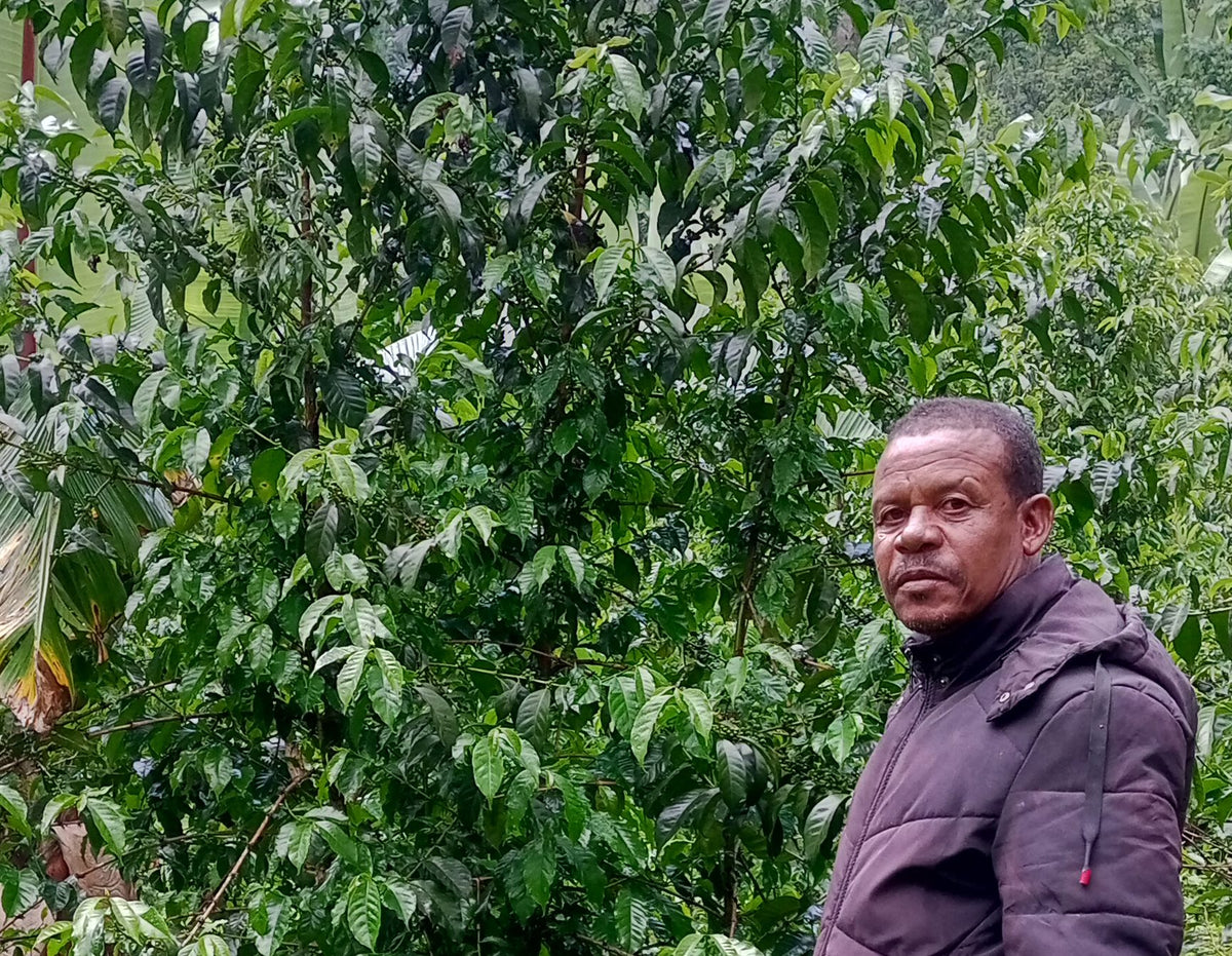 New Single - Ethiopia Ayele Begashaw – Groundskeeper Willie