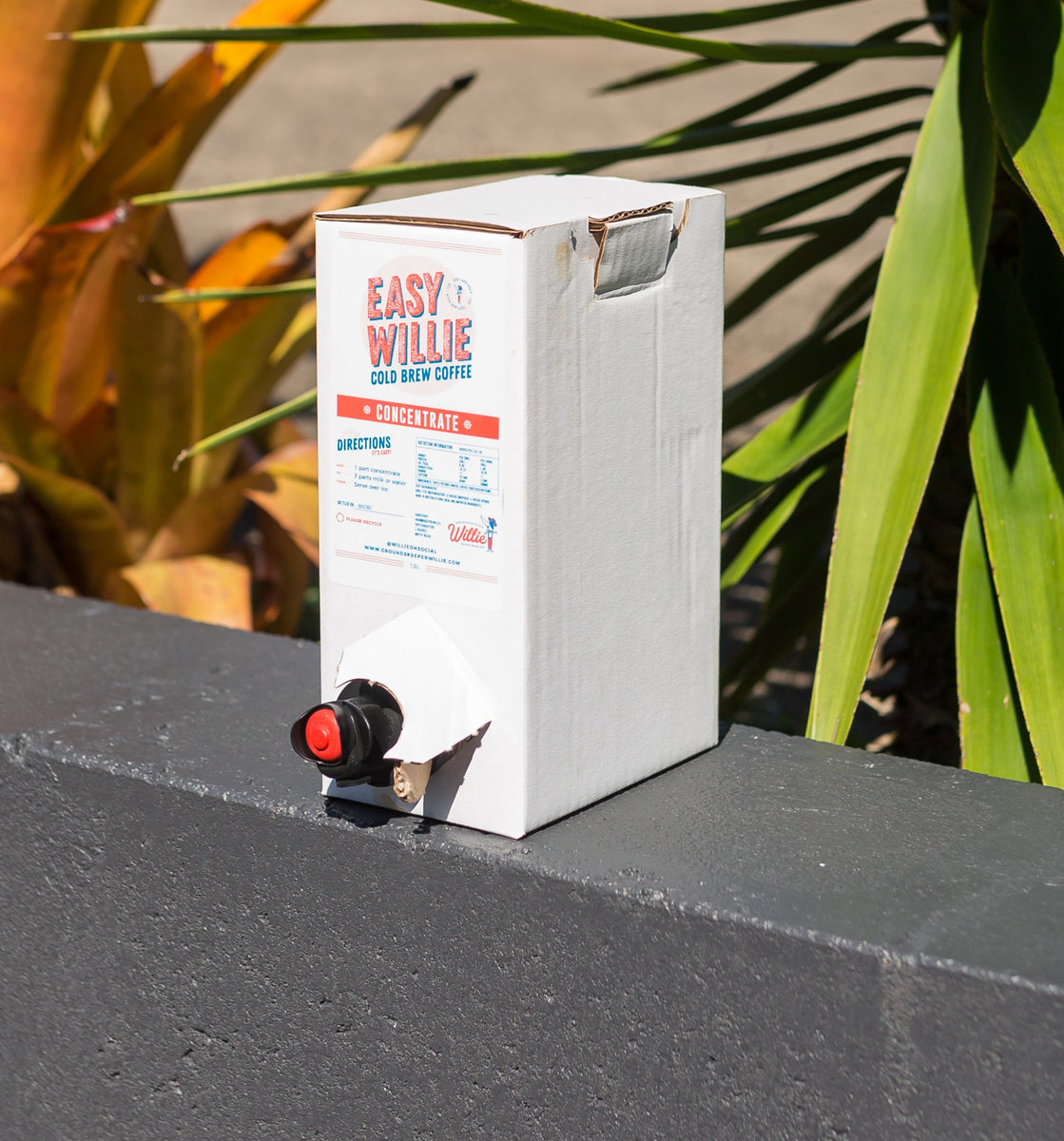 Easy Willie - Cold Brew Concentrate – Groundskeeper Willie